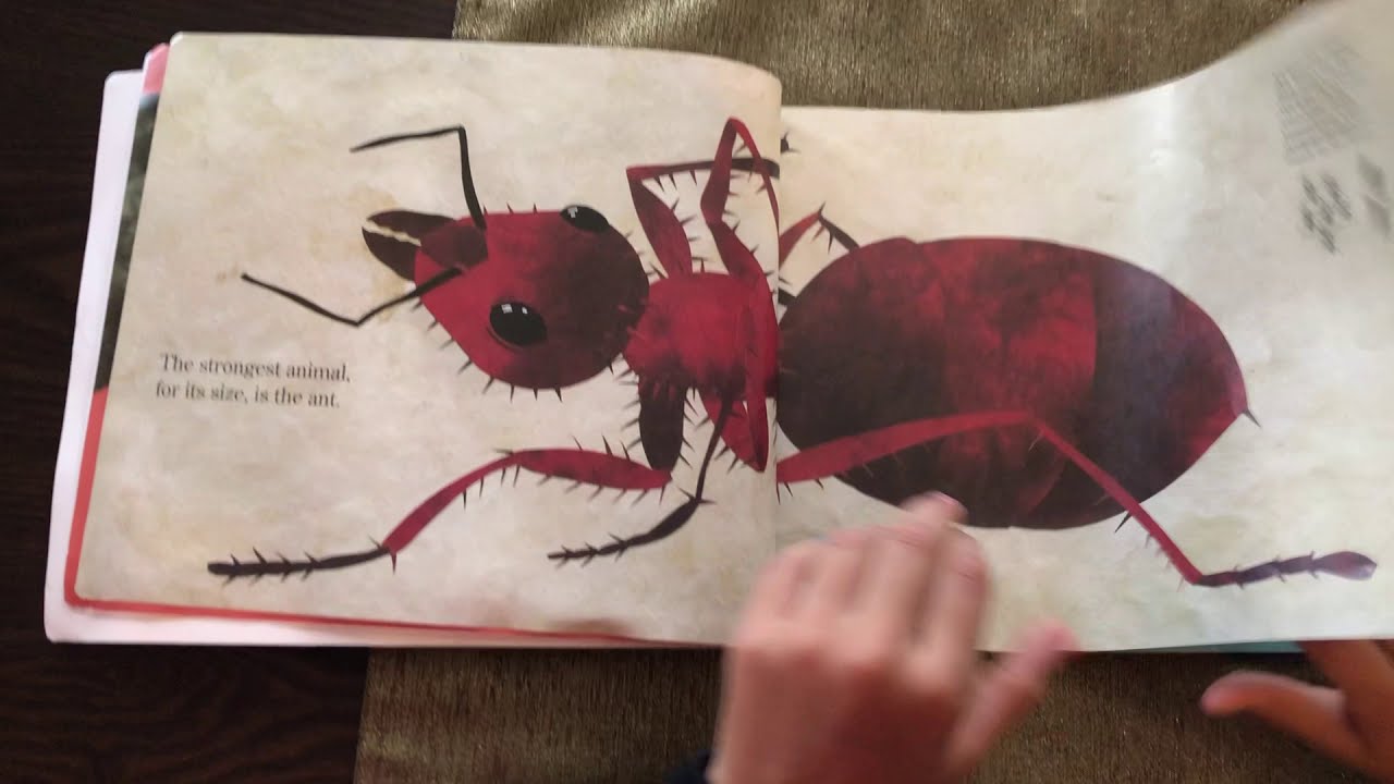 Biggest, Strongest, Fastest by Steve Jenkins - YouTube