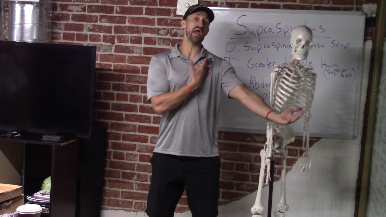 Rotator Cuff Muscle | Supraspinatus SITS | Show Up Fitness - YouTube