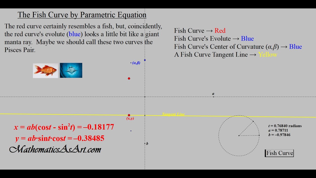 The Fish Curve by Parametric Equation - YouTube