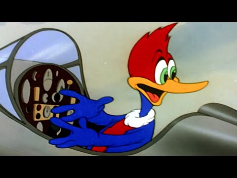 Pica-Pau Pilota Um Avião | 2.5 Horas de Episódios Antigos | Pica-Pau em Português