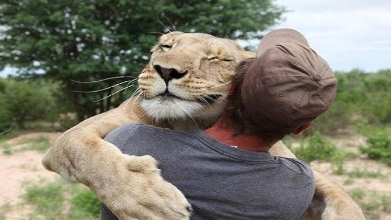 Animals Reunited With Owners After Years! - YouTube