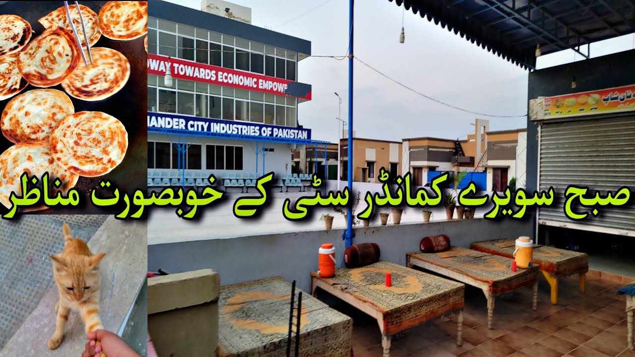 Beautiful Morning Scenes of Commander City ️ ️ - YouTube