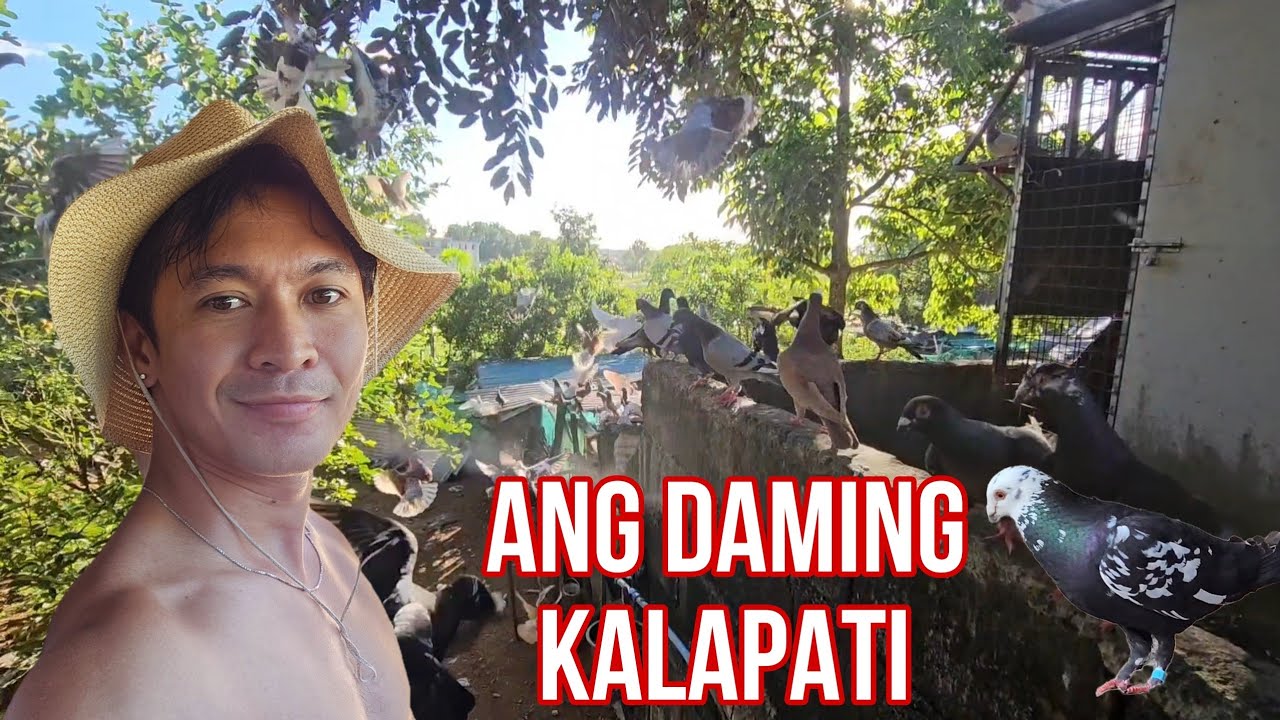 KALAPATI FARM - YouTube