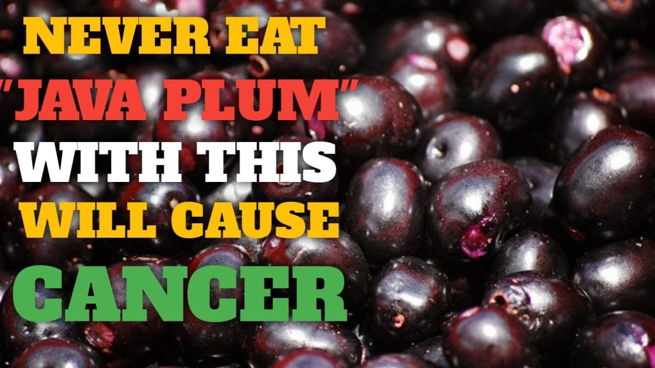 Never eat java plums with this cause cancer and dementia! 3 best & worst food recipes! health ...