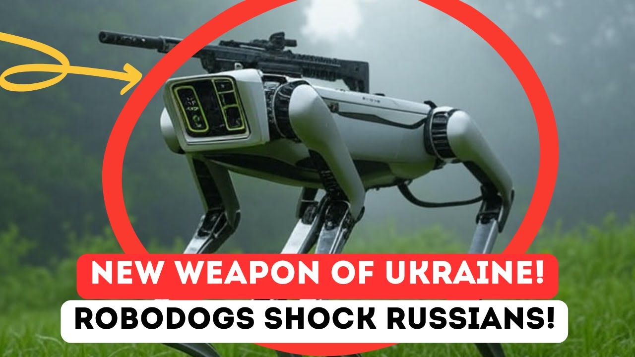 Robot Dogs Are Taking Over Ukraine’s War - YouTube