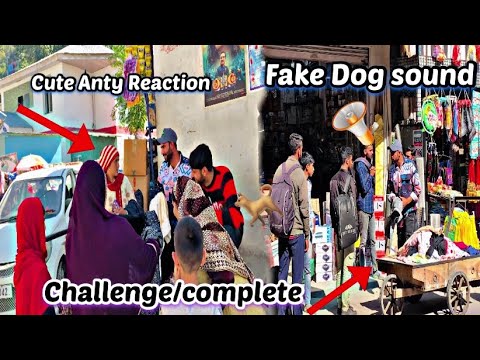 Fake dog sound in public😜 cute aunty amazing reaction (challenge ...
