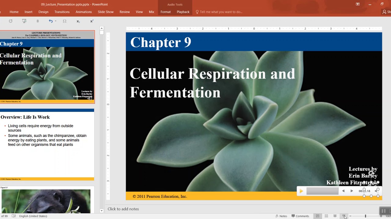 biology chapter 9 cell respiration part 1 - YouTube