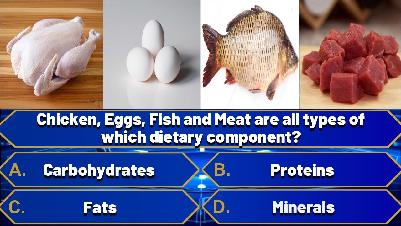 Interesting questions and facts | General Knowledge| Episode - 9 | By ...