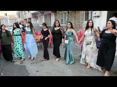 CEREN ALİ KINA 1