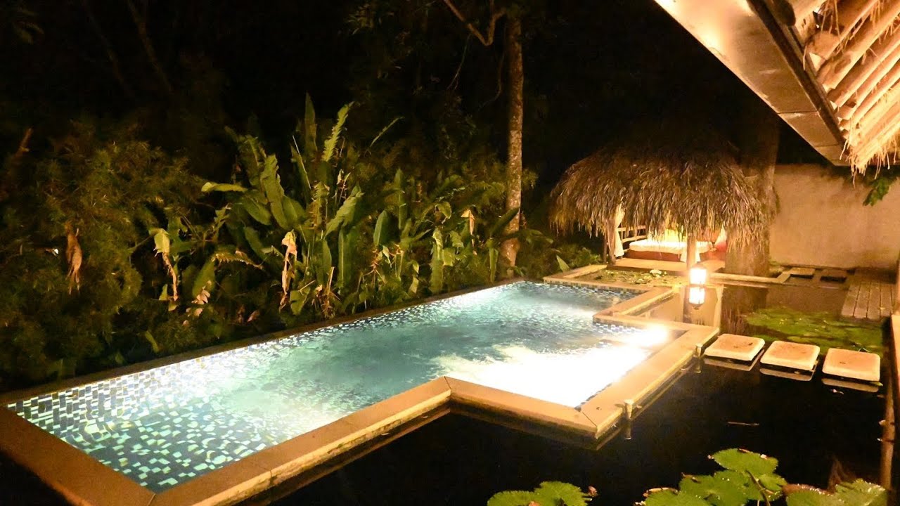 Lily Pool Cottage | Evolve Back , Coorg | Day 1 | Luxury Resorts of ...