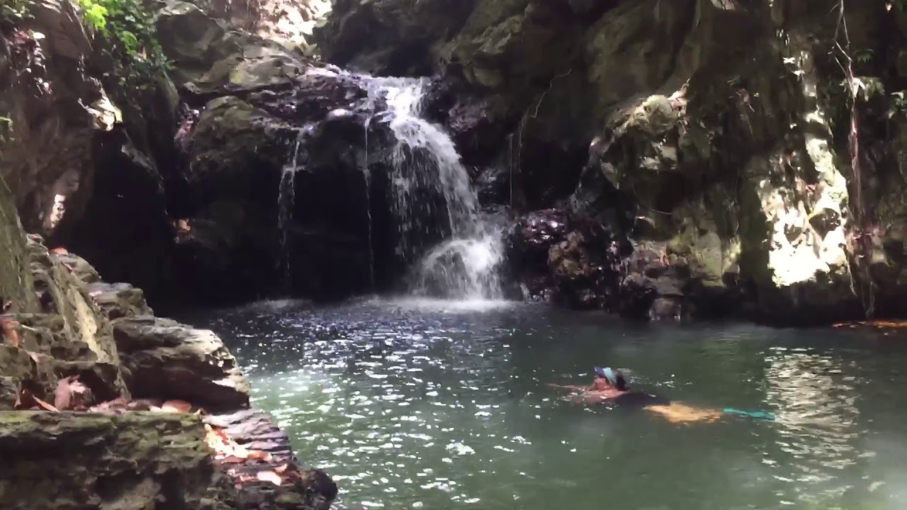 Hike to Balandra waterfall with the family & our dogs Trinidad - YouTube