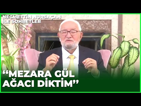 Mezarın Üzerine Ağaç Dikmek Günah Mı? - Necmettin Nursaçan'la Sohbetler