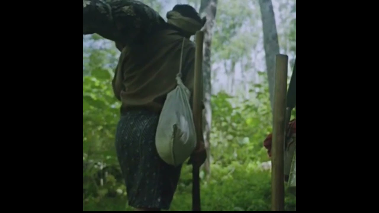 Thean movie emotional song status | Tamil whatsapp status | Alli poo ...