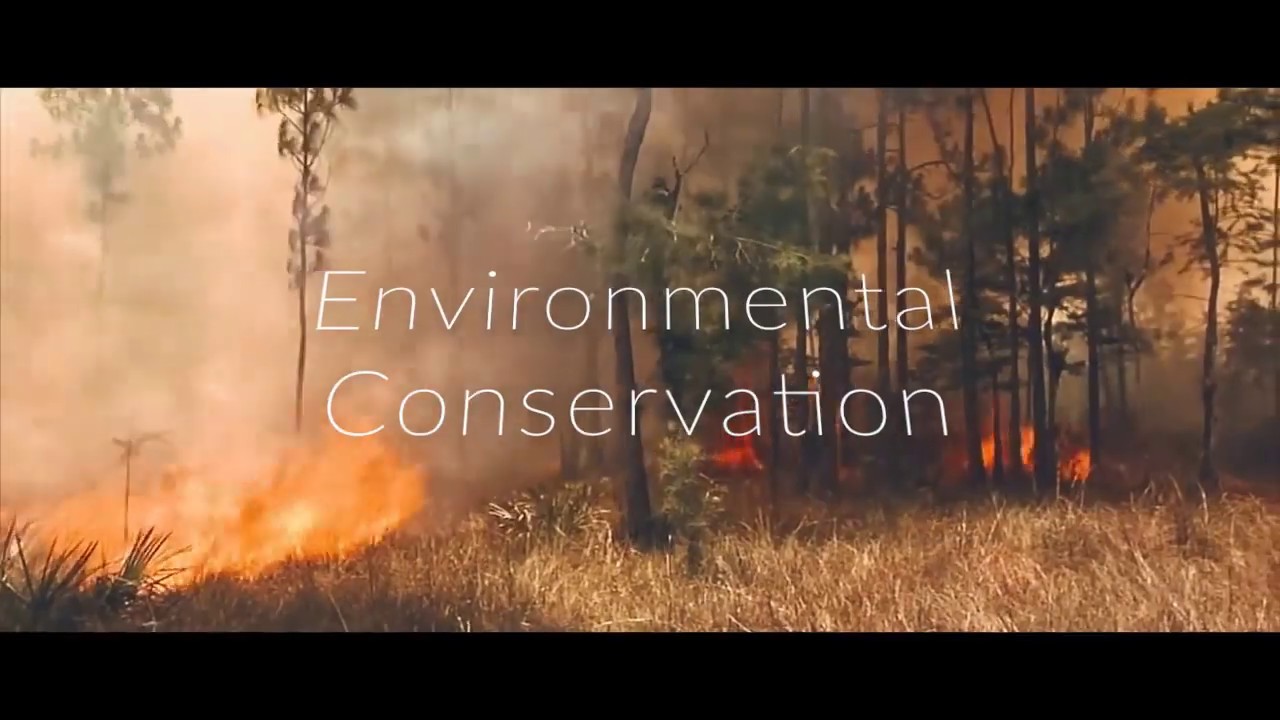 Importance of Environment, Conserve now! - YouTube