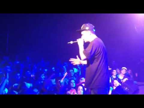 Rapsusklei, Pulmon Beatbox, Dj Tillo @ Wild Festival 2016 - YouTube