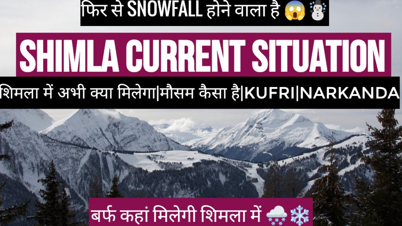 Shimla current situation update on 28 jan | Weather | Snow | Narkanda ...