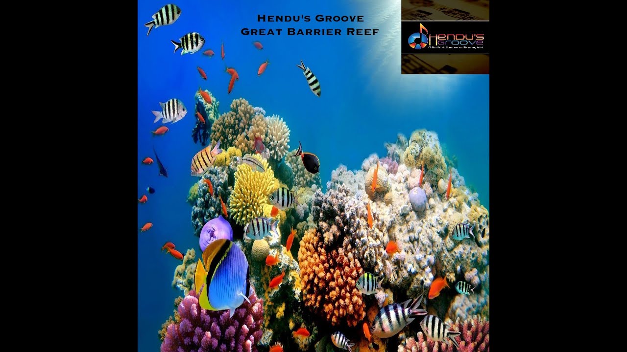 Hendu's Groove - "Great Barrier Reef" - YouTube