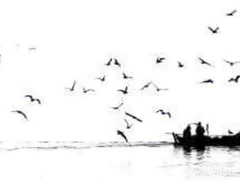 MEYHANECİ ŞİİRLERİ (SENİ İSTER DELİ GÖNLÜM)