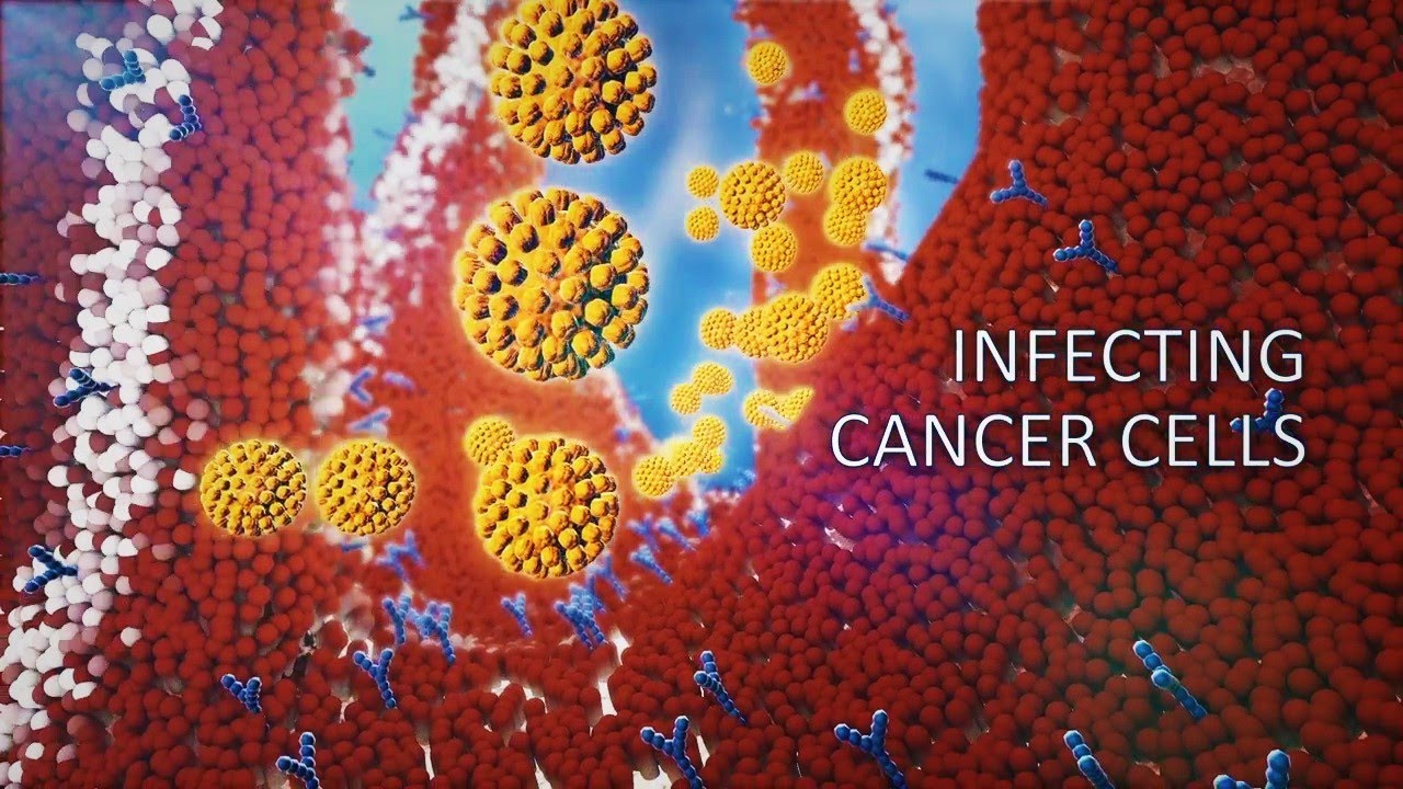 How does Oncolytic Virotherapy work? - YouTube