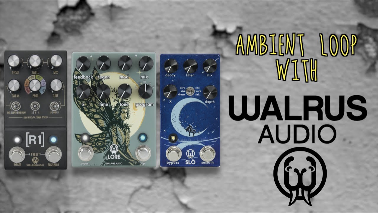 AMBIENT LOOP with WALRUS!! (SLO, LORE, R1) - Alfonso Corace - YouTube