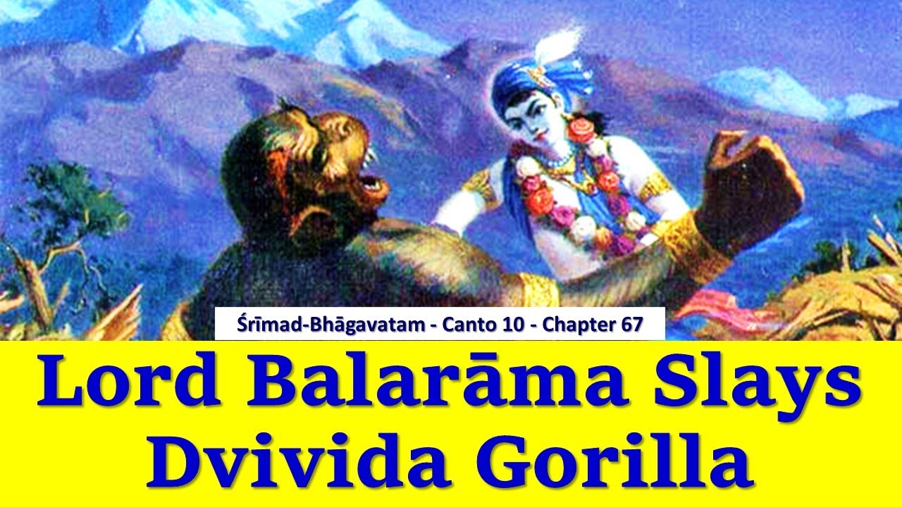 SB 10.67 Balarama Slays Dvivida Gorilla | Srimad Bhagavatam | Canto 10 ...