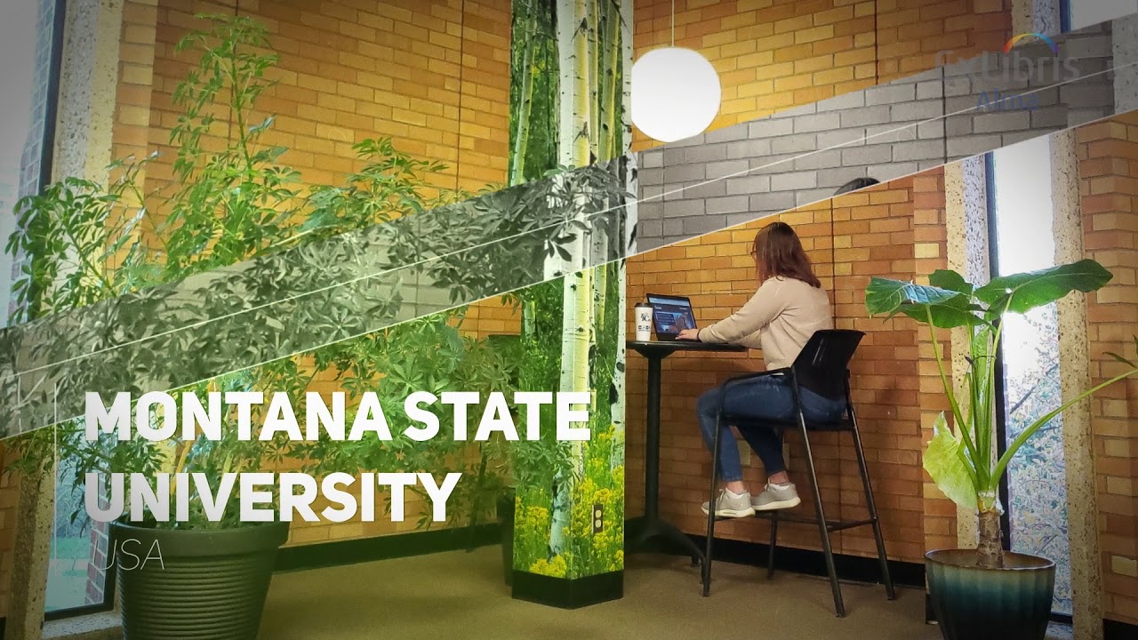 Alma Libraries Around the World 2020 - YouTube