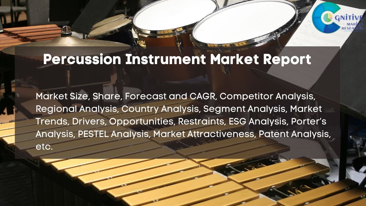 Percussion Instrument Market Report 2024 - YouTube