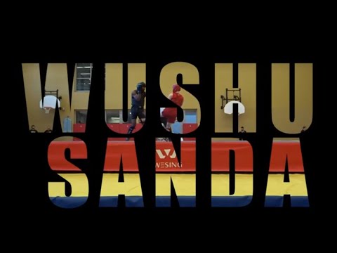 Wushu Sanda Ontario Winter Games 2018