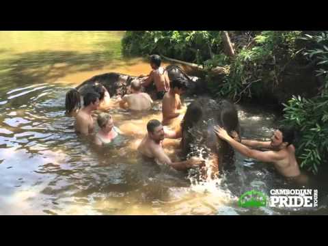 Bathing the Elephant in Mondulkiri Cambodia