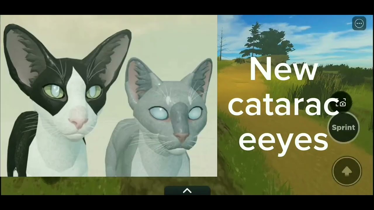 The new WCUE remodel!! let's look into it! - YouTube