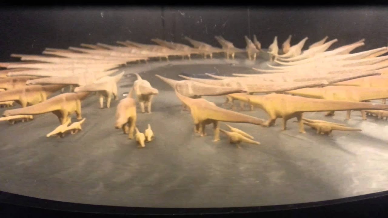 Phi phenomenon, dinosaurs at Perot Museum, Dallas - YouTube