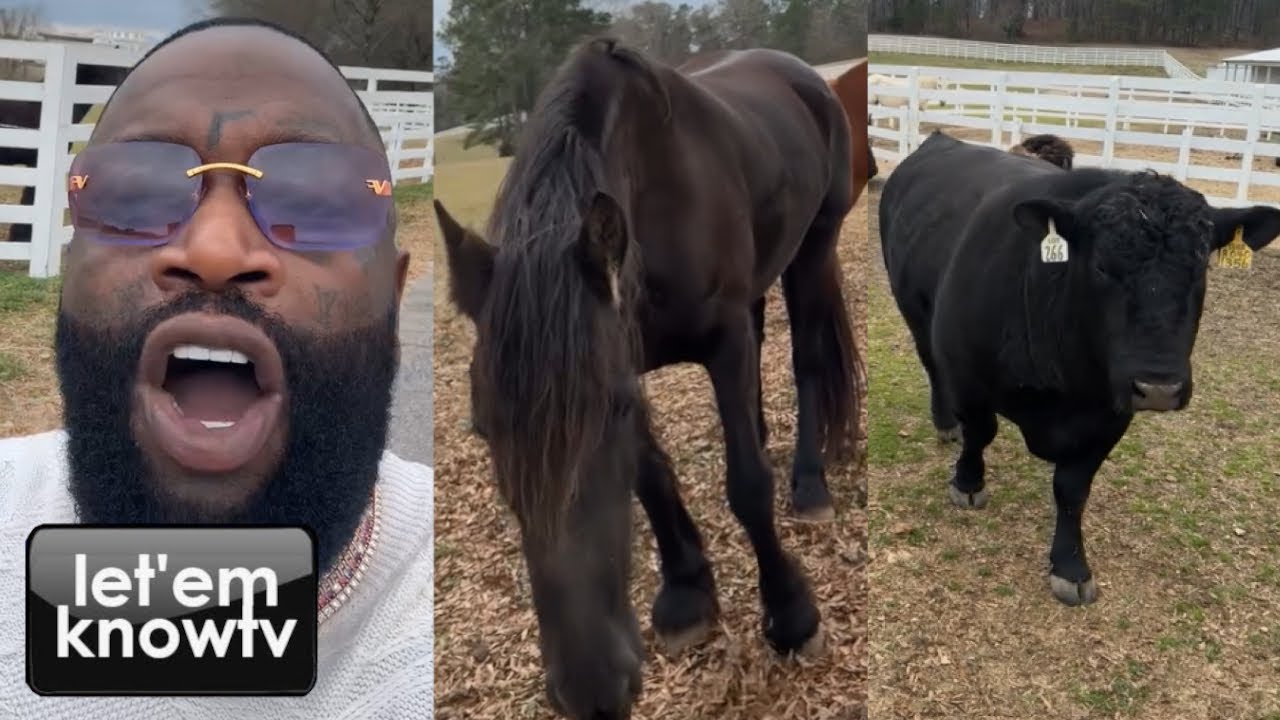 Rick Ross Shows Off His Buffalo & Horses, Says Car Show Goers Will Get ...