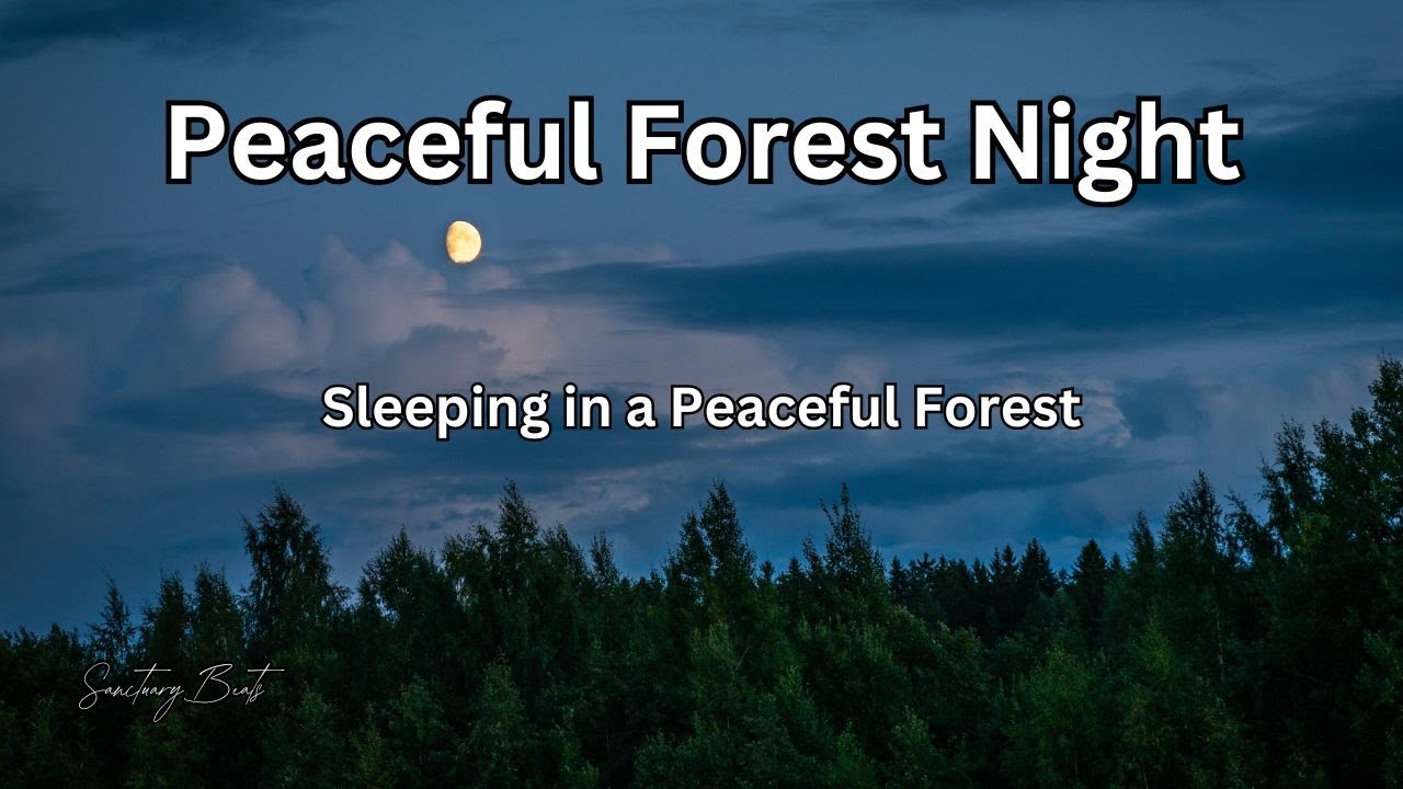 Peaceful Forest Night: Escape to a serene forest, let this melody guide ...