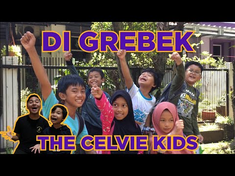 di Grebek The Celvie Kids