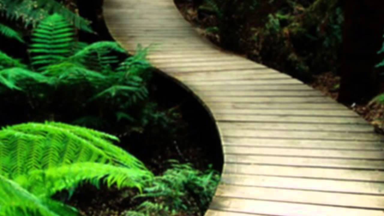 To Be A Sign And A Wonder - Robert Critchley - YouTube