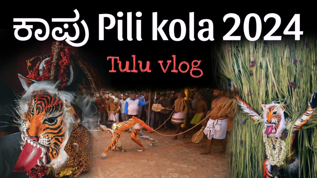 kaup pili kola 2024 | #kaup #Pilikola #madhanmanipal #tulublog # ...