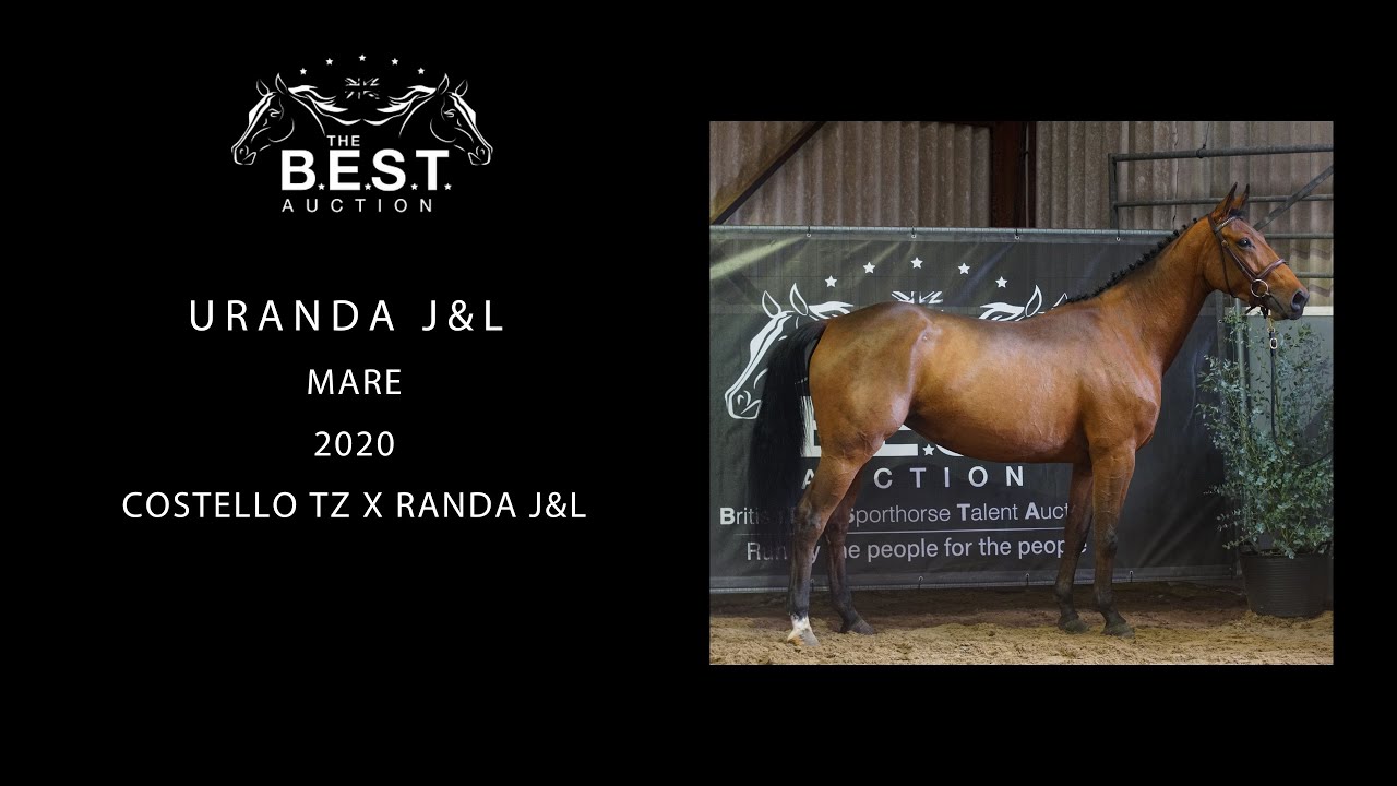 LOT 3 - URANDA J&L - YouTube