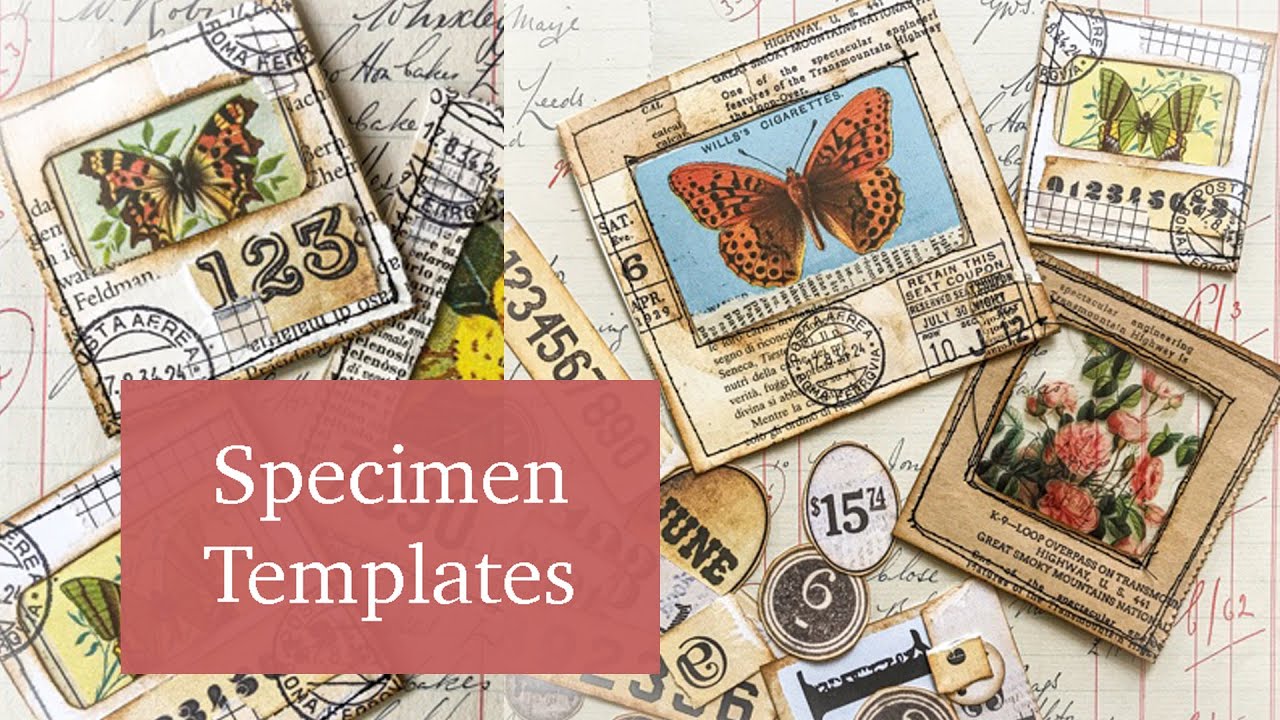 How to make Specimen TEMPLATES | JJ#209 - YouTube