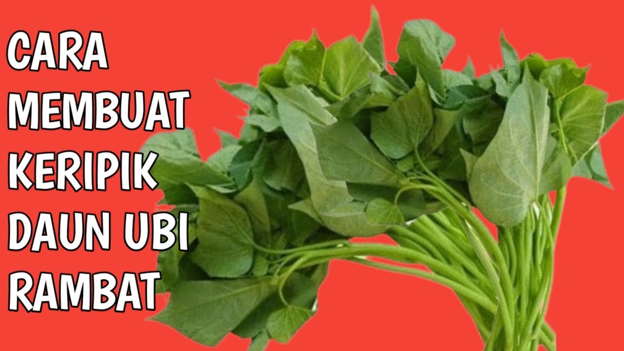 CARA MEMBUAT KERIPIK DAUN UBI RAMBAT ,HANYA MENGGUNAKAN 2 BAHAN SAJA ...