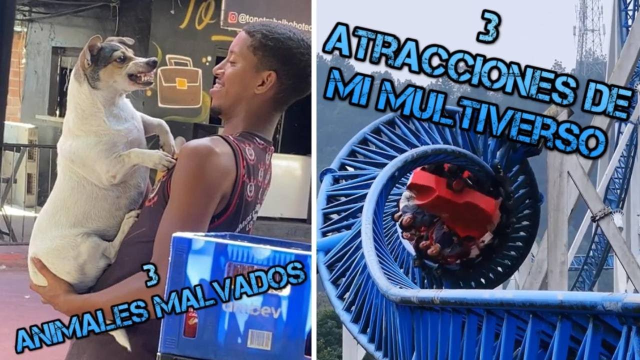 6 Animales Malvados en Atracciones de mi Multiverso - YouTube