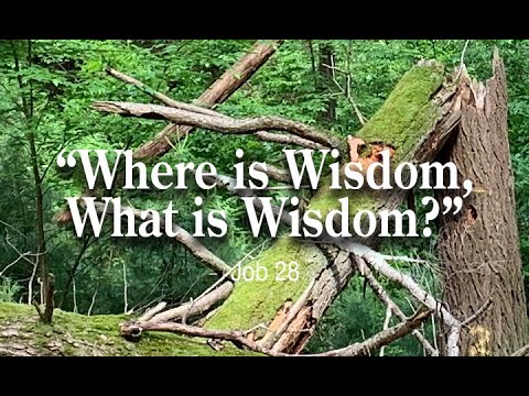 "Where is Wisdom, What is Wisdom? Job 28 - YouTube
