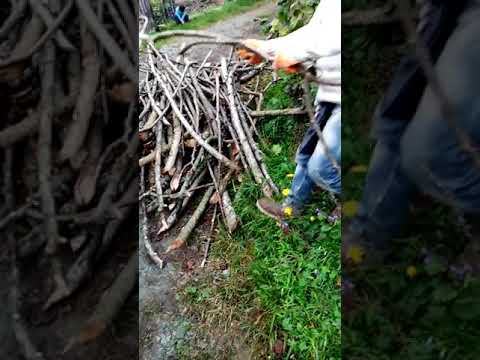 Odun Kesme Makinesi #makine #machine #forestry #ormancılık #traktor