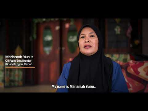 Women Smallholder Empowerment in Oil Palm - Mariamah Yunus - YouTube