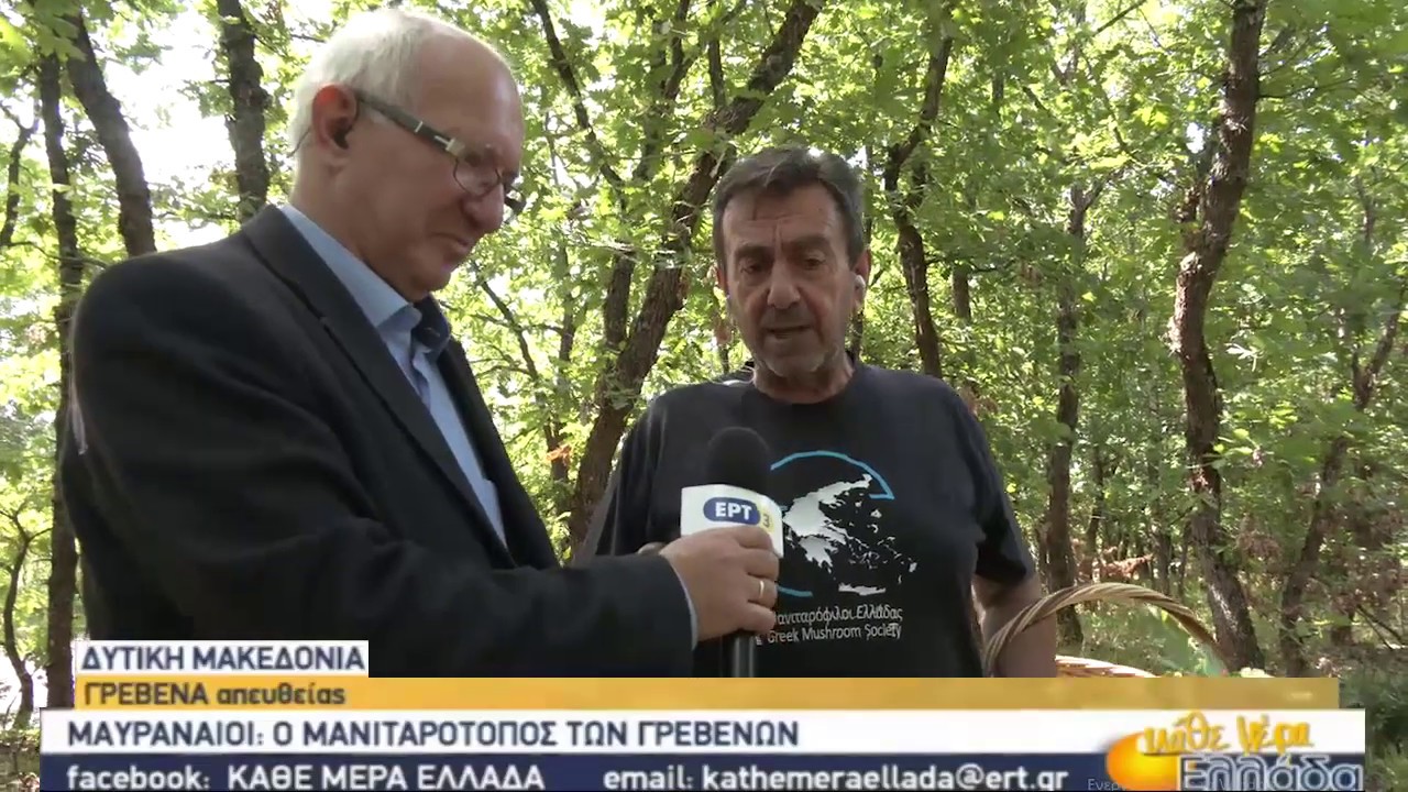 ΕΡΤ 3 Η Εκπομπή Κάθε μέρα Ελλάδα στα Γρεβενά για συλλογή μανιταριών ...