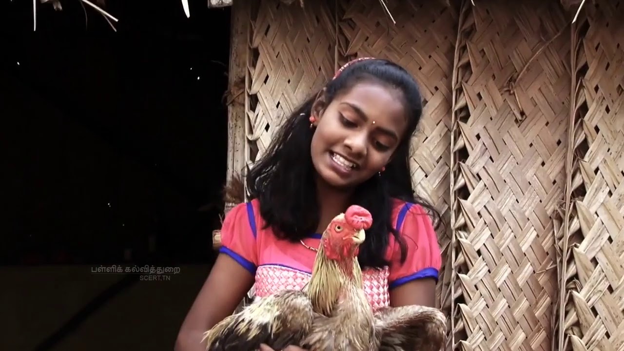 Seval Koovuthu - YouTube