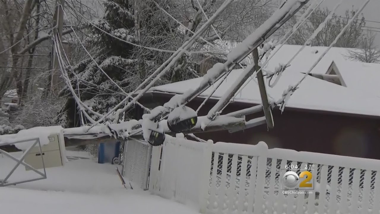 Heavy Snow Takes Down Trees, Power Lines On The Northwest Side - YouTube
