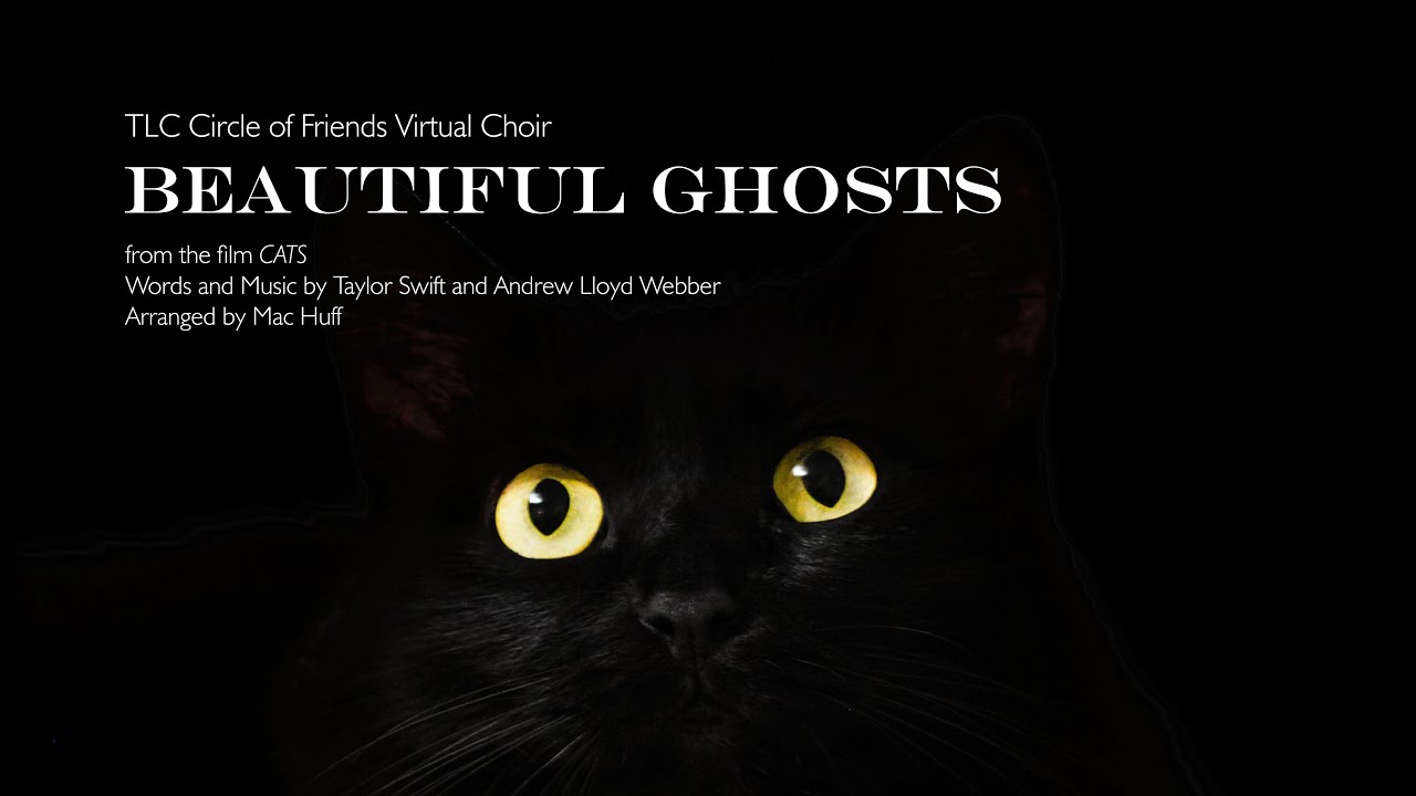 Beautiful Ghosts (by Taylor Swift and Andrew Lloyd Webber) performed by ...