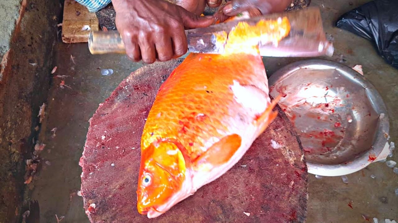 Stunning Orange Carp Fish Cutting is Beautifully Filleted" Amazing ...