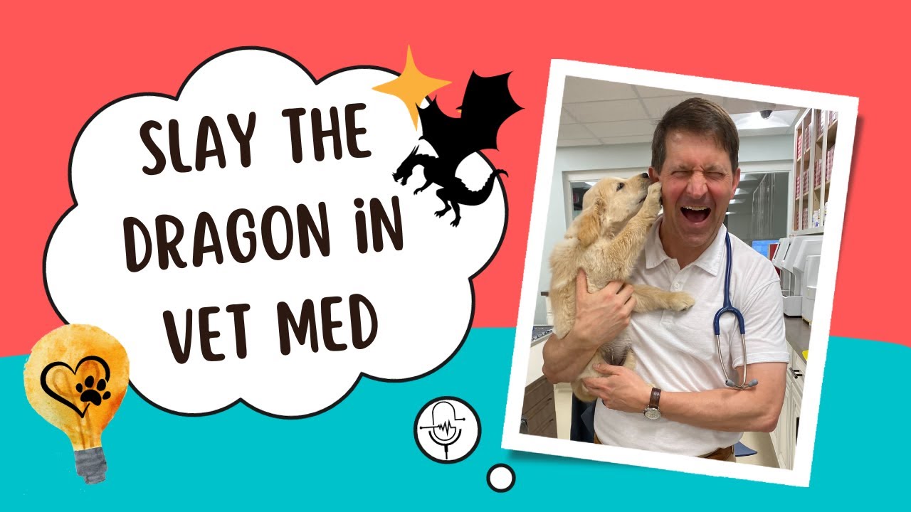 Survive Vet Med: What They Don't Teach You with Dr. Andy Roark - YouTube