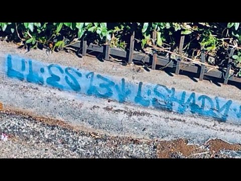 “LITTLE EAST SIDE 13” GANG IN BOYLE HEIGHTS/ELA (Visiting LA’s Most ...